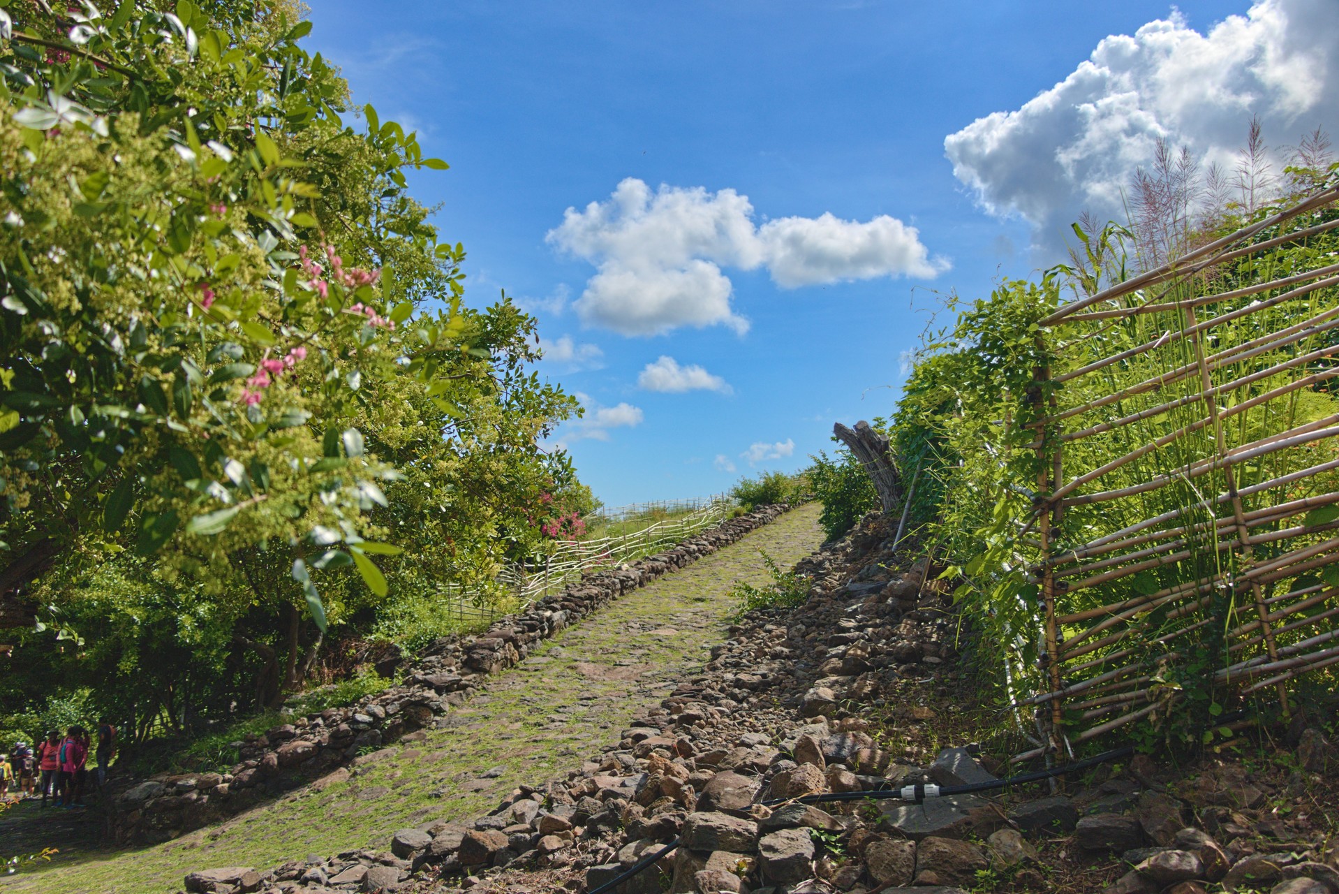 Chemin Pavé Bellemène Saint-Paul Randonnée